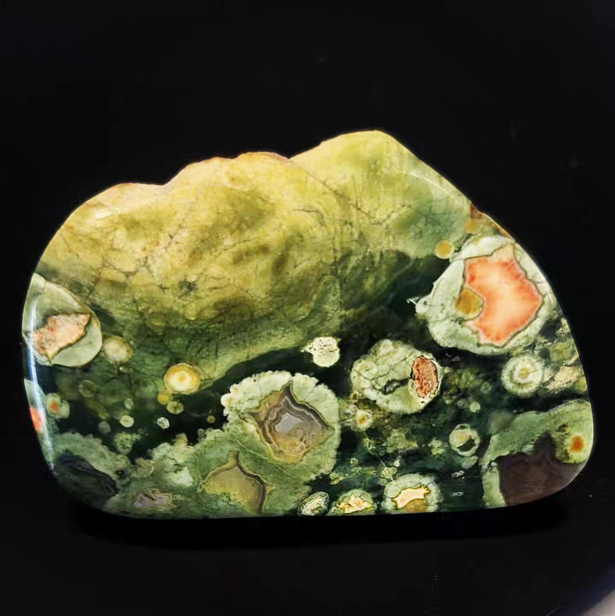 Raw Edge - Rainforest Jasper – Nature's Best Rock and Gem